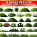 Shrubs PNG Clipart | Landscape Greenery Plant Illustrations for Garden ...