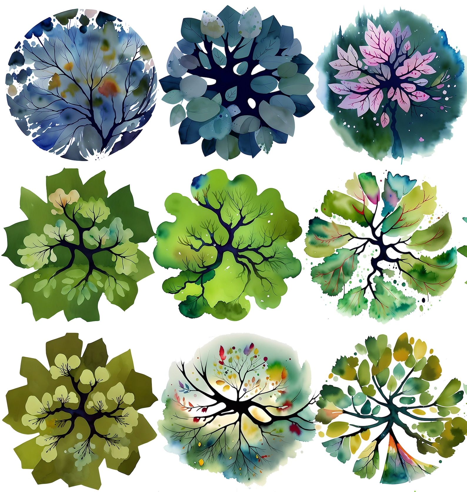 Landscape Tree Clipart, Tree Plan View, Flat Tree Clipart, Plant Top ...