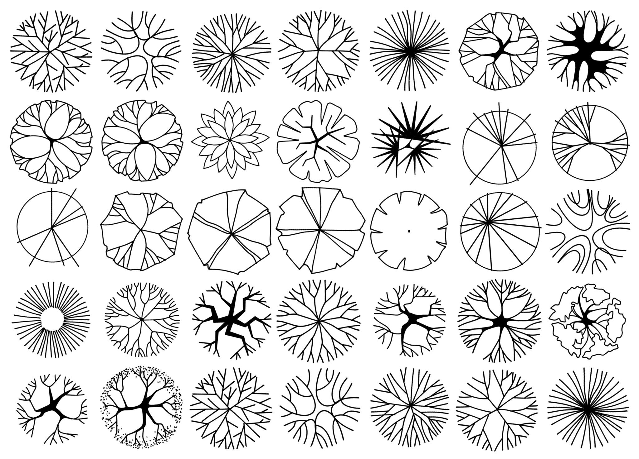 Procreate Brushes, Procreate Tree Plan Stamps, Tree Symbols, Landscape ...