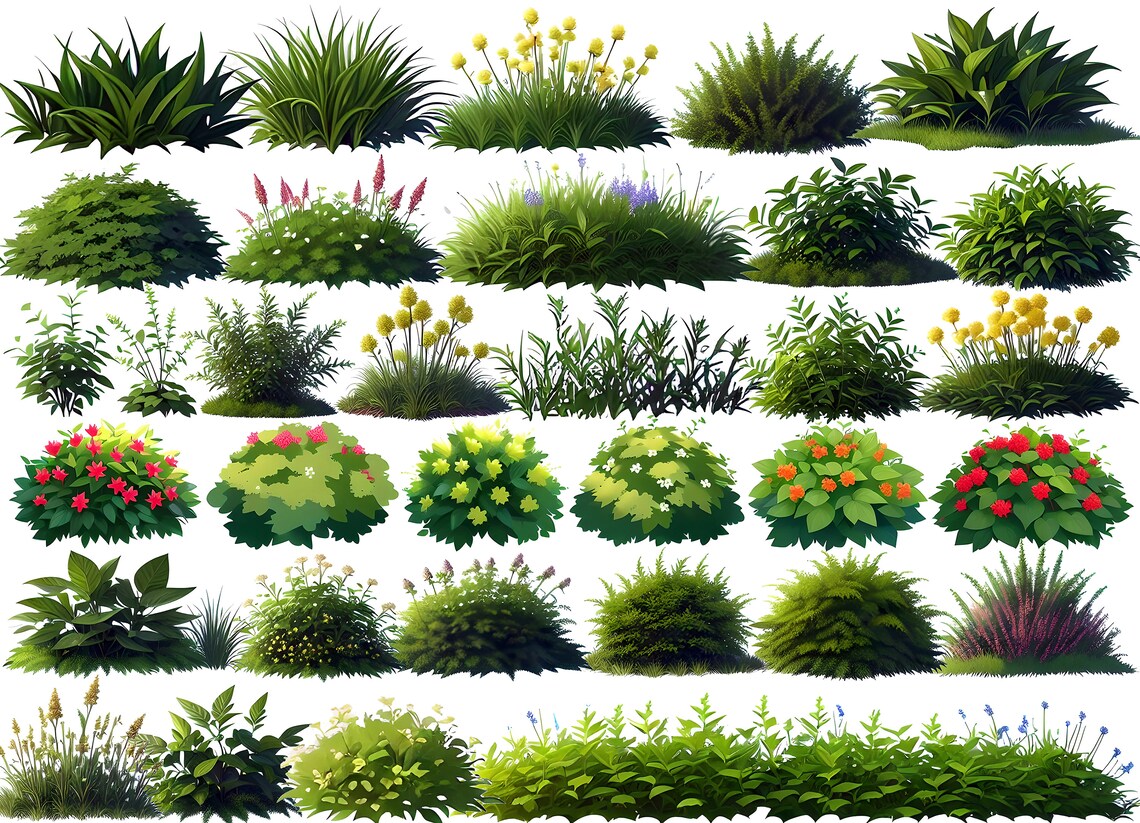 Landscape Shrubs PNG Clipart | 40 Greenery Plant Illustrations for ...