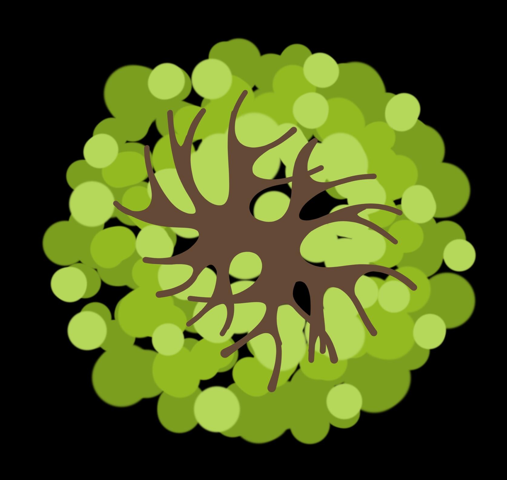 Tree Top View Symbols, Landscape Tree Plan and Grass Textures ...