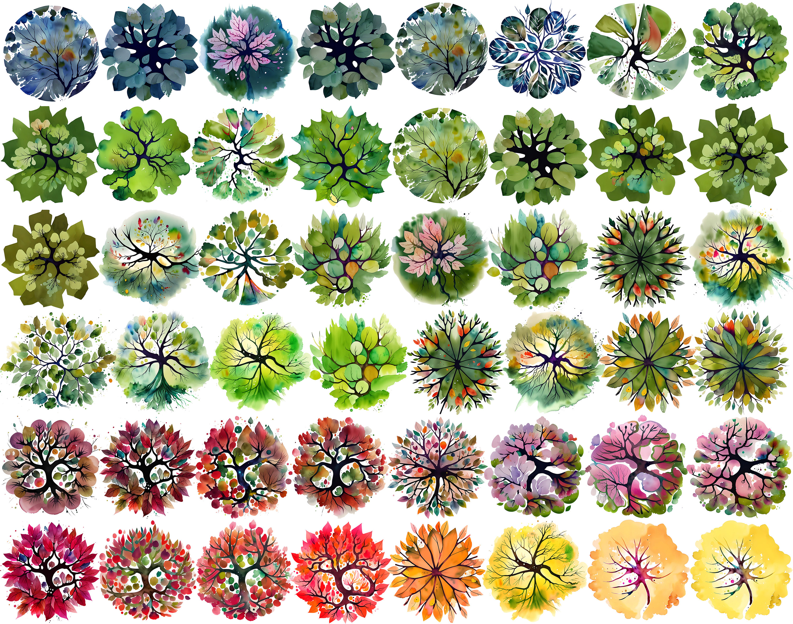 Watercolor Tree Plan PNG Templates, Tree Plan Watercolor Illustrations ...