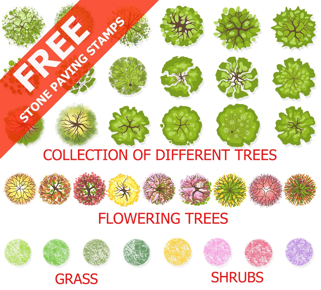 Tree Top View Symbols, Landscape Tree Plan and Grass Textures ...