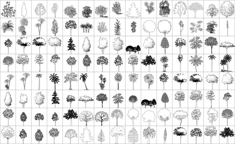 Tree Elevation CAD Blocks | Autocad Tree Symbols | DWG File for ...