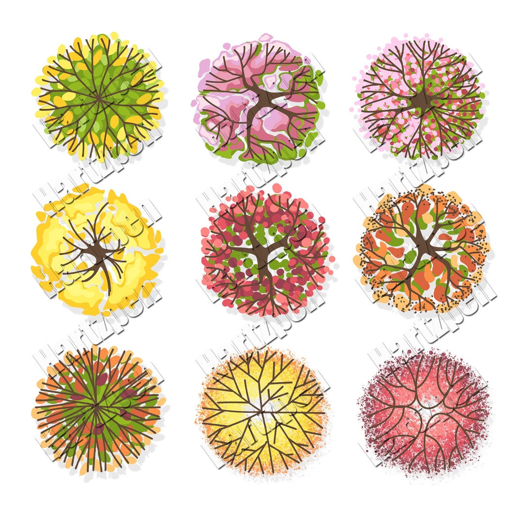 Tree Plan View Template, Treetop View, Tree Plan PNG Landscape Images ...