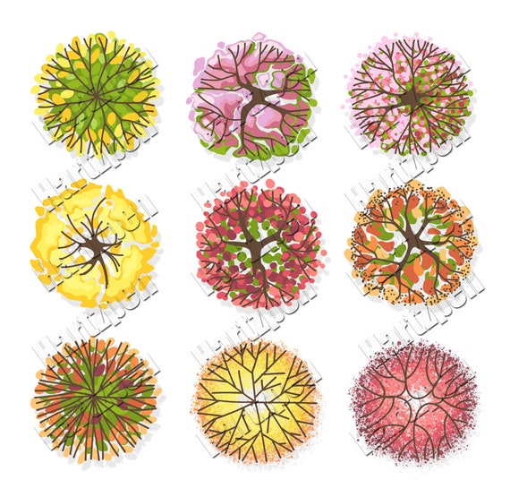 Architectural Symbols Trees