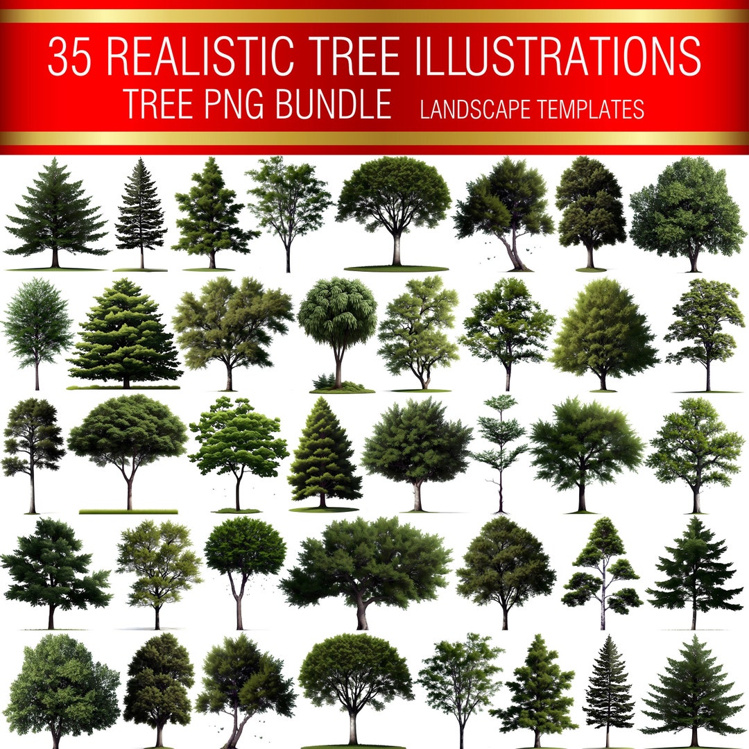 Summer Tree Illustration, High Quality Tree PNG Illustration, Landscape ...
