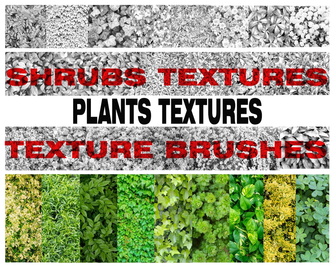 Landscape Shrub Texture PNG Collection, Planting Brush, Shrubs Pattern ...