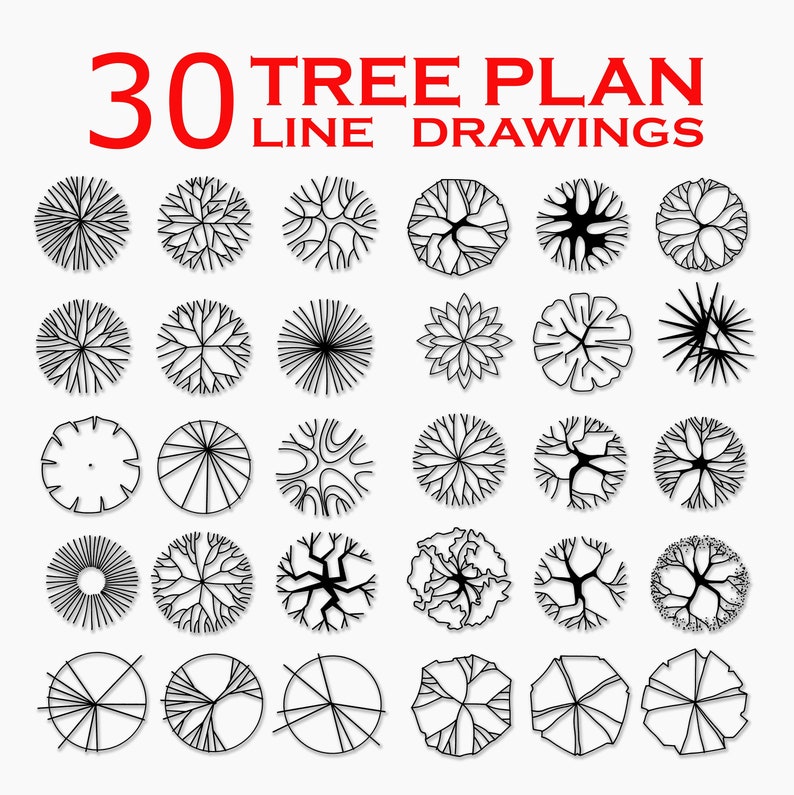 Tree Top View PNG, Tree Plan Symbol, Tree Plan View Images, Landscape ...