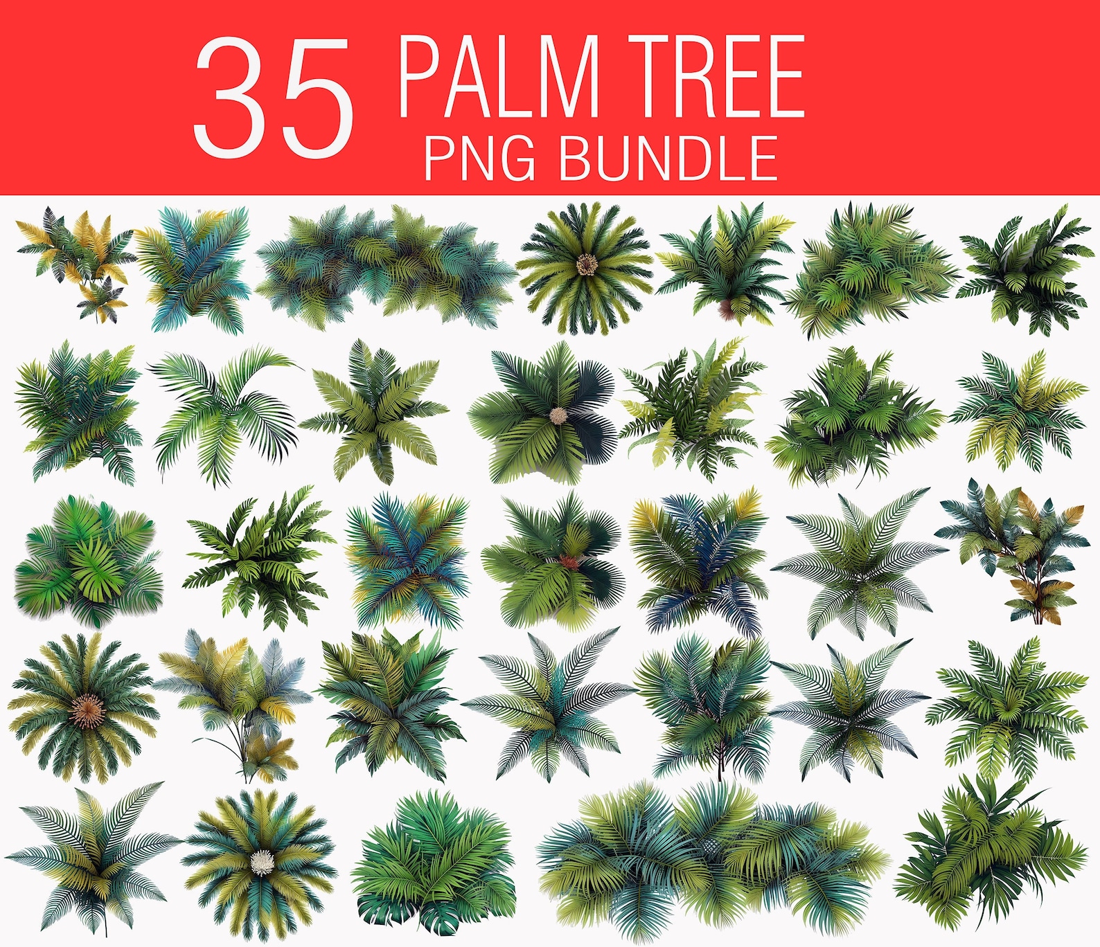 Palm Tree Bundle, Palm Tree Stamps, Palm Tree Symbols, Palm Tree PNG ...