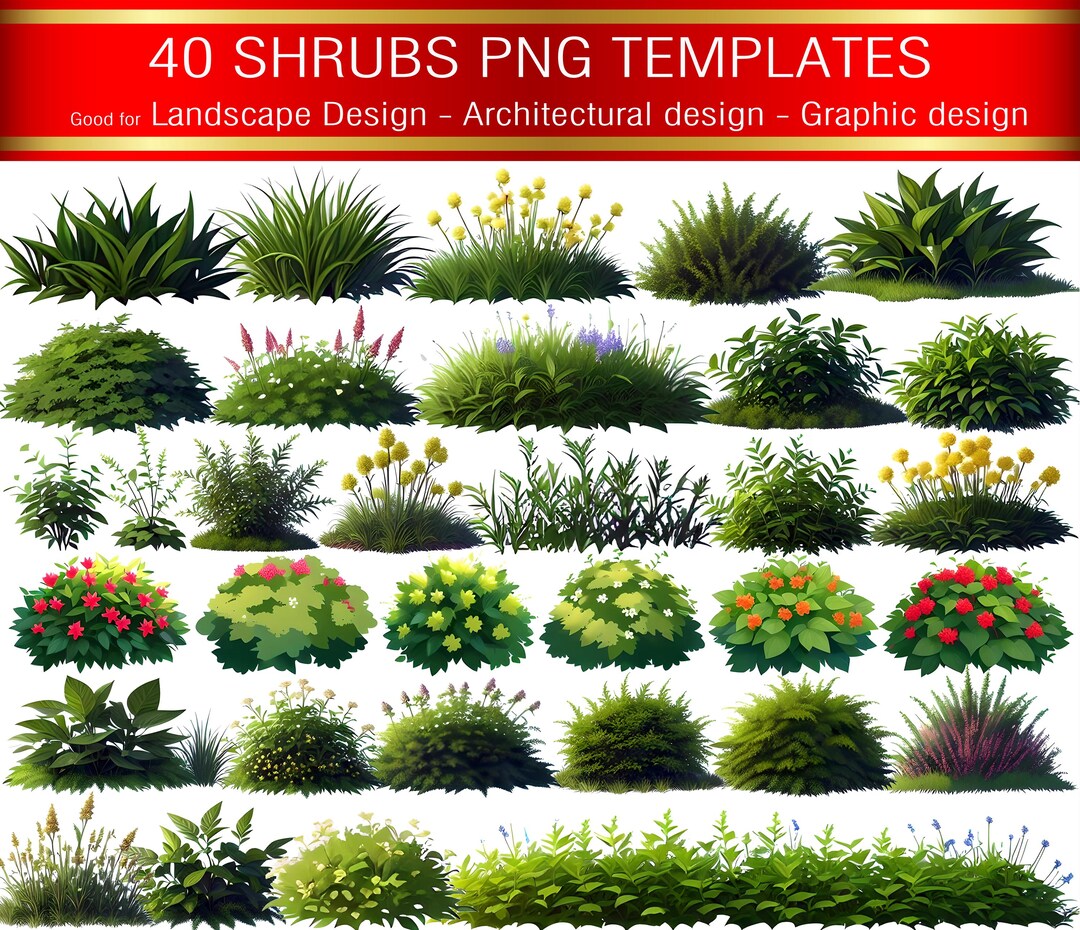 Landscape Shrubs PNG Clipart | 40 Greenery Plant Illustrations for ...