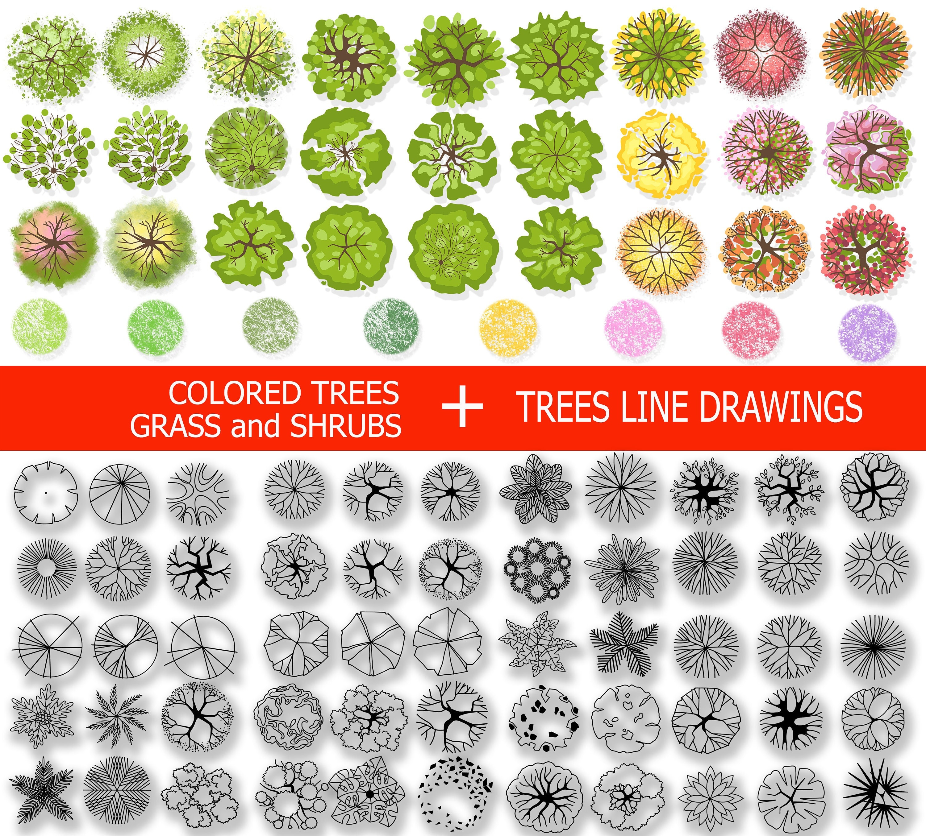 Deciduous Tree Landscape Design Symbols