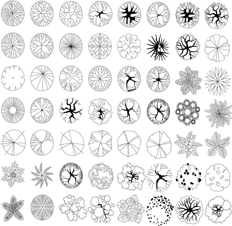 Autocad Tree Plan DWG File | Landscape Architecture Blocks | CAD Tree ...
