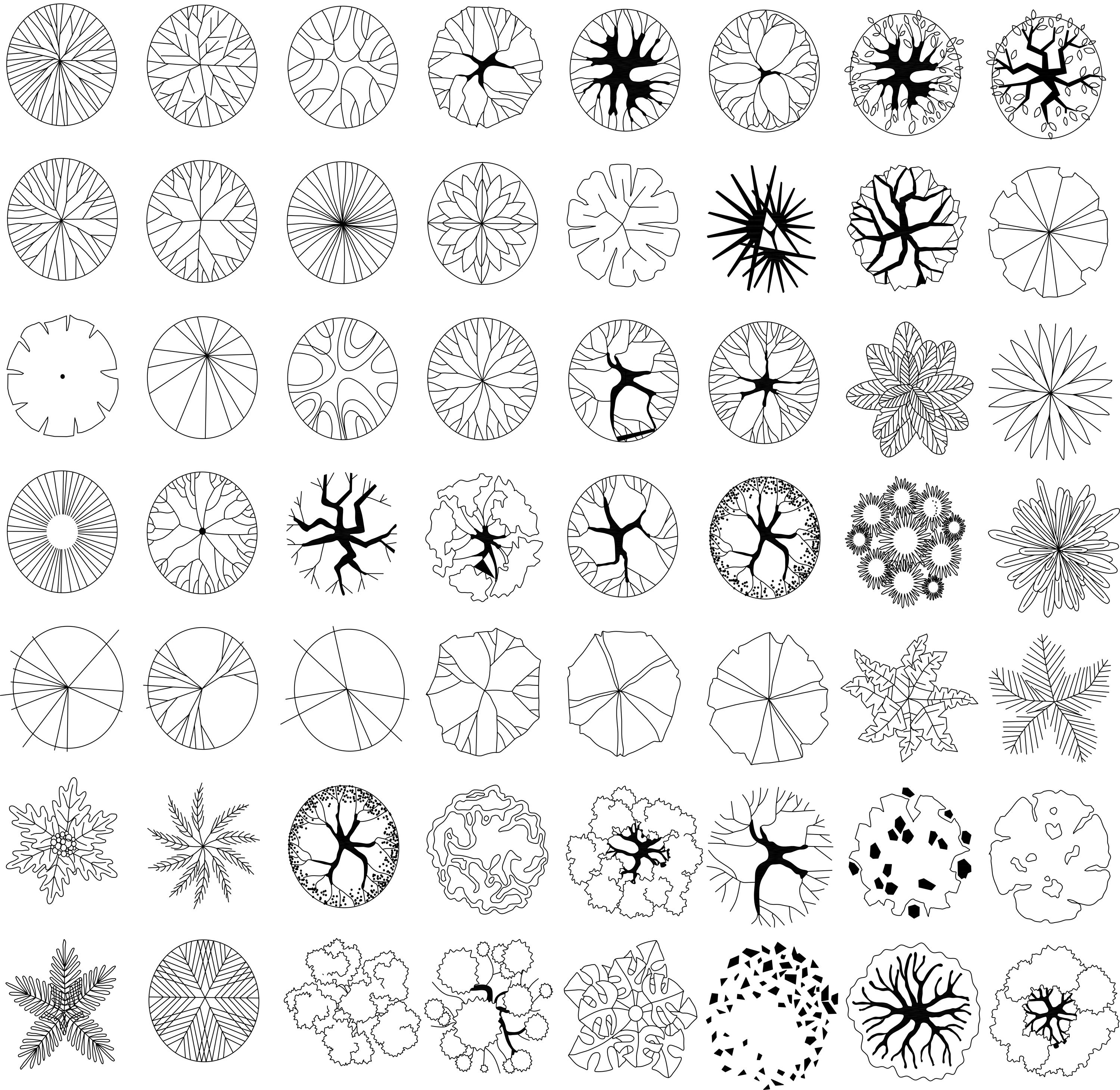 Tree Plan PNG Templates | Autocad Tree Plan DWG File | Landscape ...