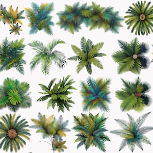 Palm Tree Bundle, Palm Tree Stamps, Palm Tree Symbols, Palm Tree PNG ...