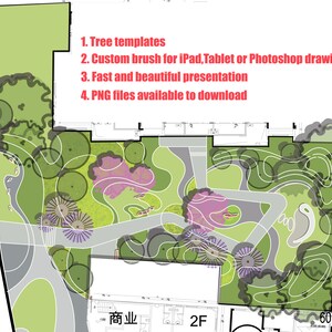 Tree Plan View, Trees, Landscape Tree Plan, Landscape Design Symbols ...