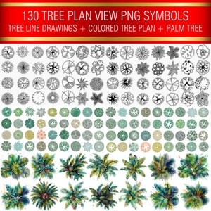 Tree Plan View PNG Pack, Landscape Tree Plan View PNG, Palm Tree, Tree ...