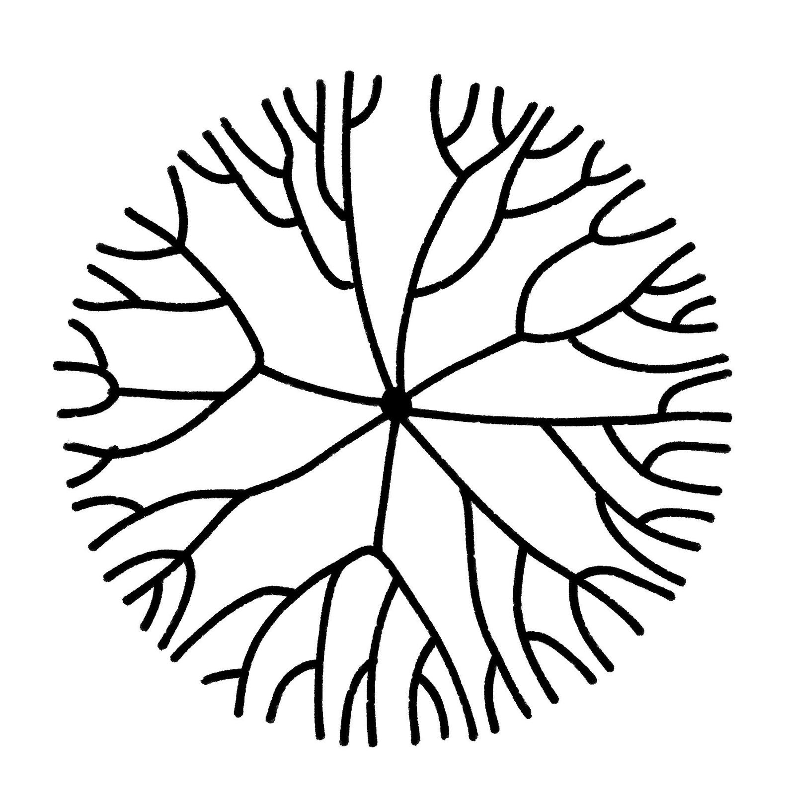 Tree Plan View PNG: Landscape Design Line Drawings (digital Download ...