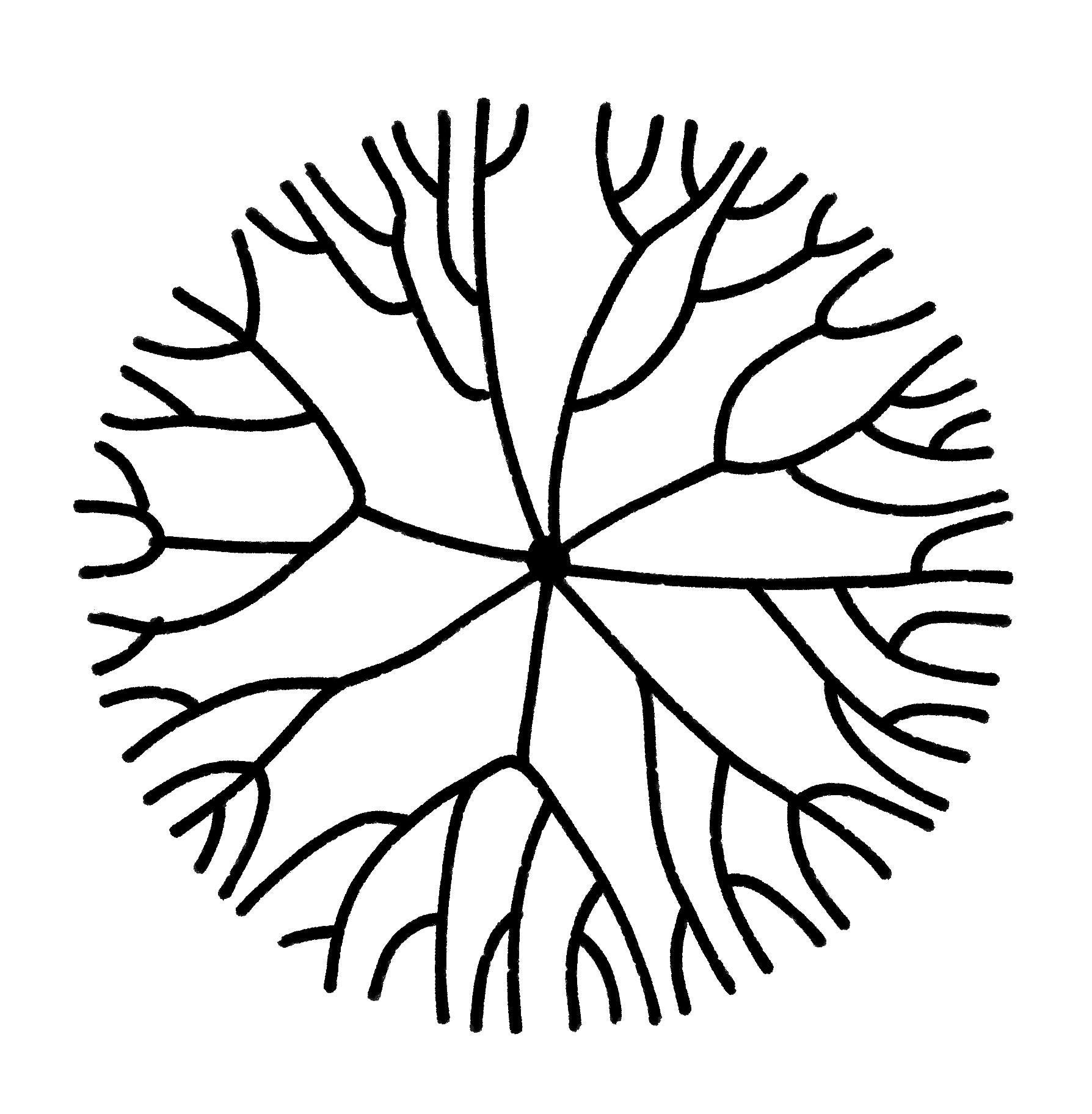 Tree Top View PNG, Tree Plan Symbol, Tree Plan View Images, Landscape ...