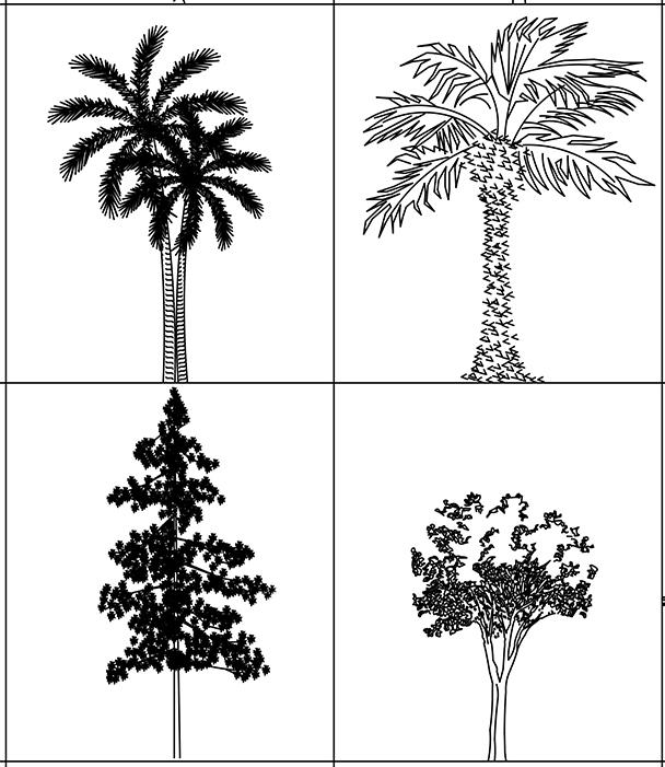 Autocad Tree Elevation Symbols | Editable DWG Blocks for Architectural ...