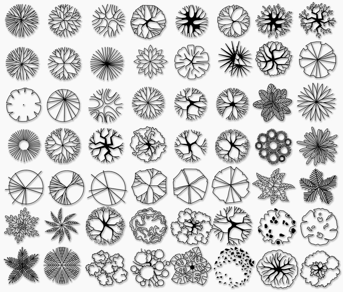 Tree Plan View PNG Pack, Landscape Tree Plan View PNG, Tree Stamps ...