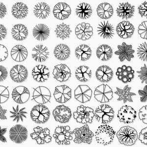 Tree Plan View PNG Pack, Landscape Tree Plan View PNG, Palm Tree, Tree ...