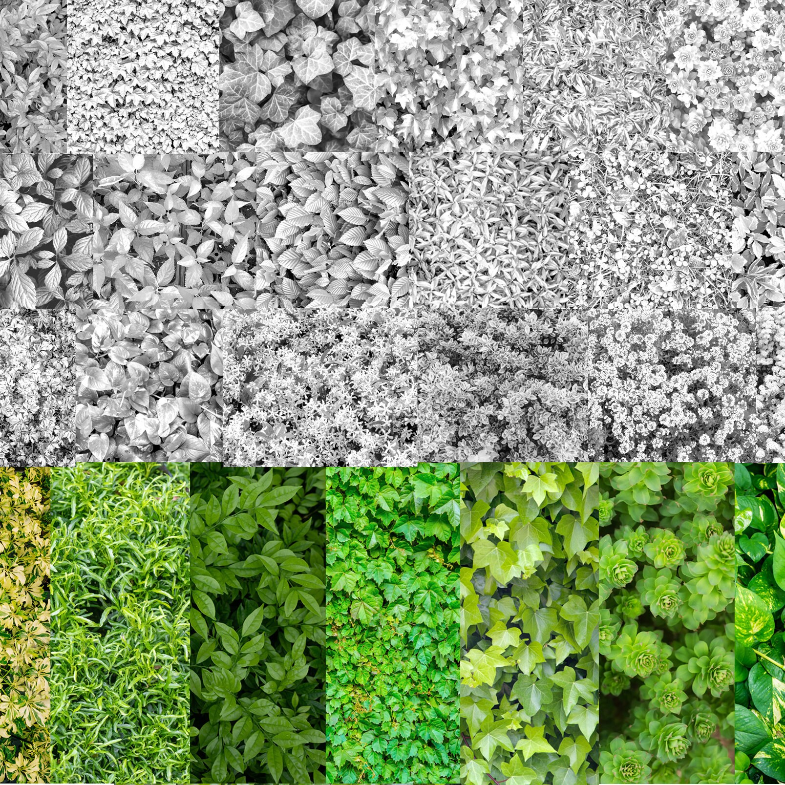 Landscape Design Texture Pack, Tree Plan View, Landscape Design, Grass ...