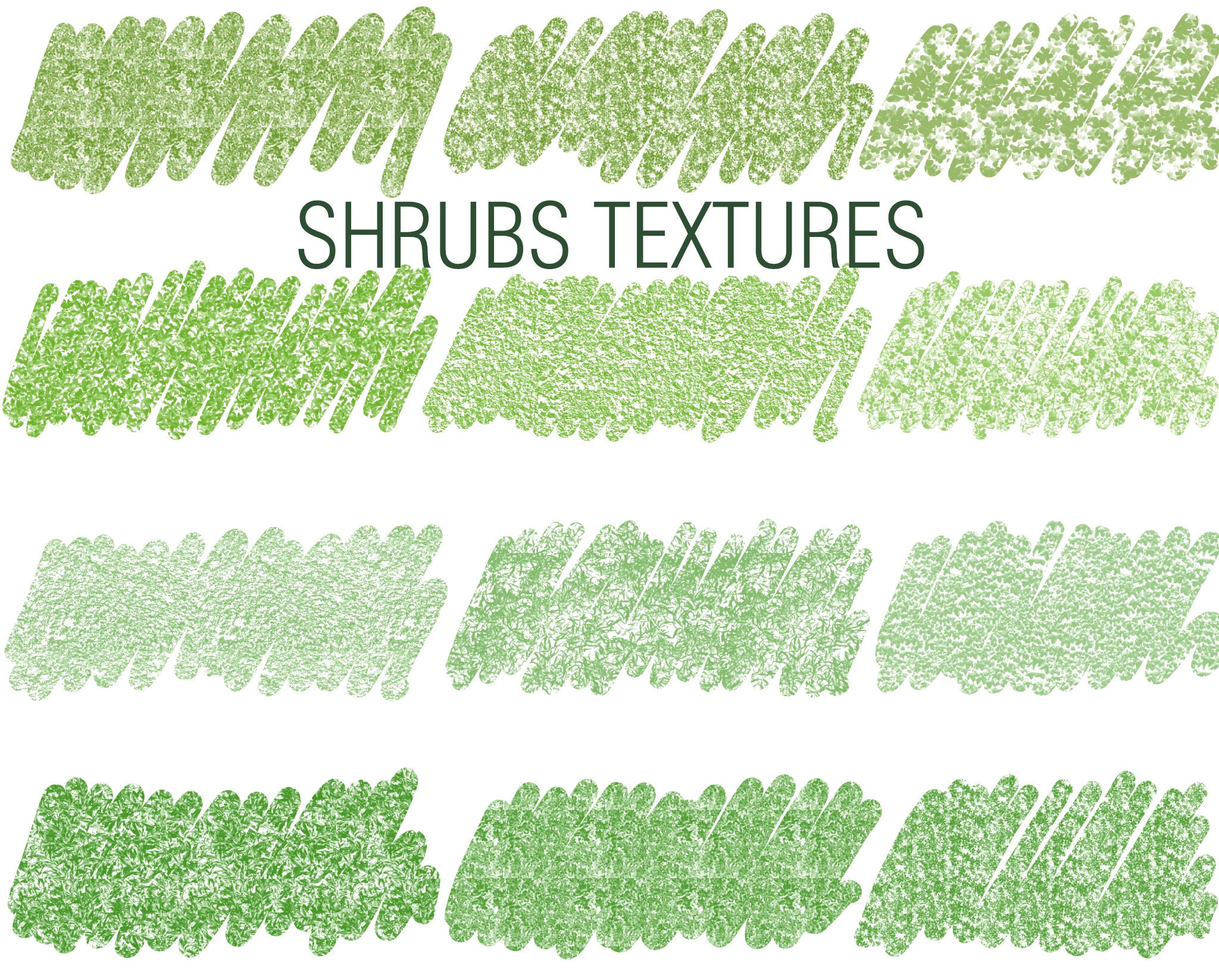 Procreate Tree Brushes, Tree Stamp Set, Shrubs, Grass, Paving Texture ...