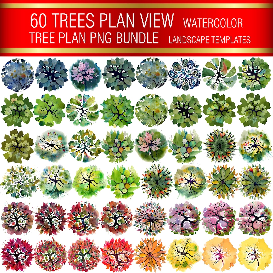 Watercolor Tree Plan PNG Templates, Tree Plan Watercolor Illustrations ...