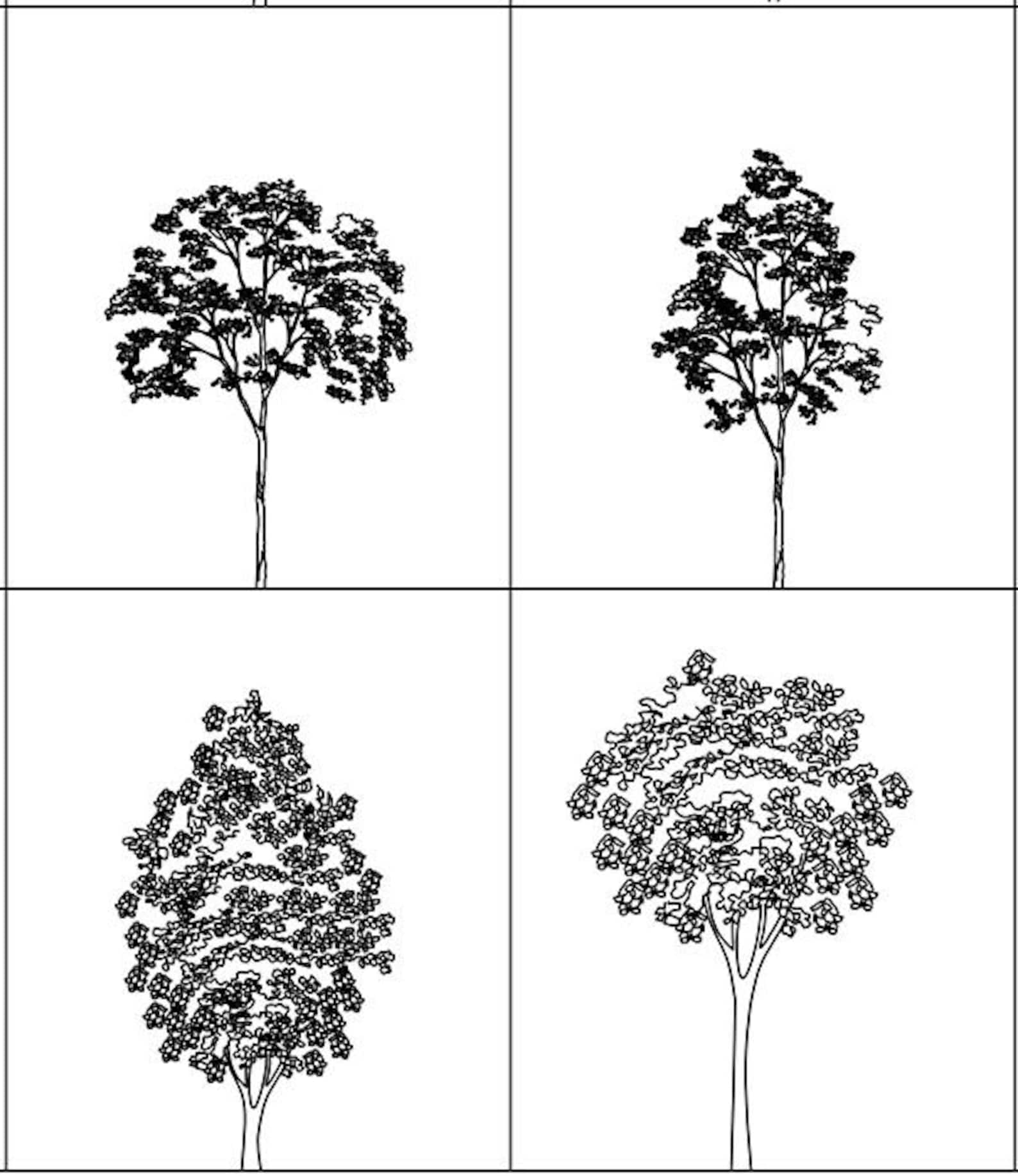 Tree Elevation CAD Blocks | DWG Autocad Symbols for Architecture ...
