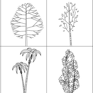 Tree Elevation CAD Blocks | DWG Autocad Symbols for Architecture ...