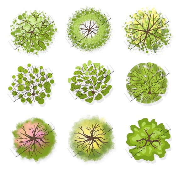 Landscape Design Drawing Symbols