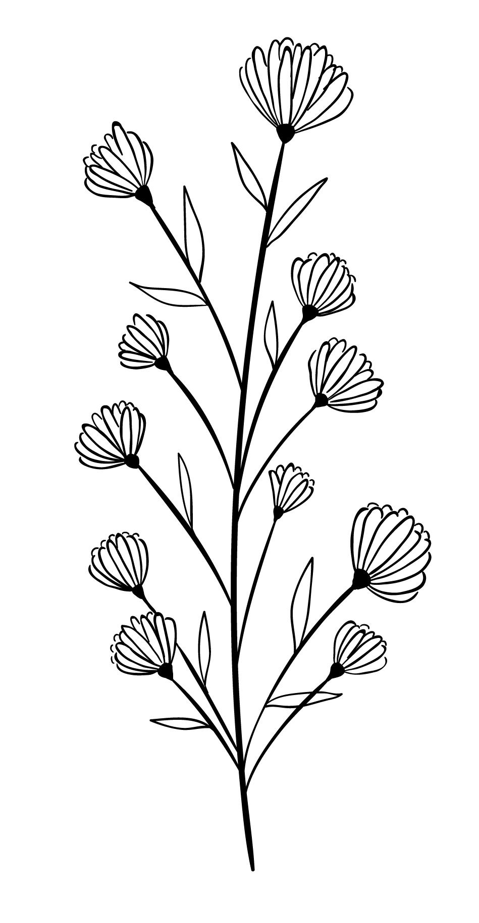 52 Wild Flower PNG, Greenery PNG, Floral Border, Branch Leaf, Hand ...