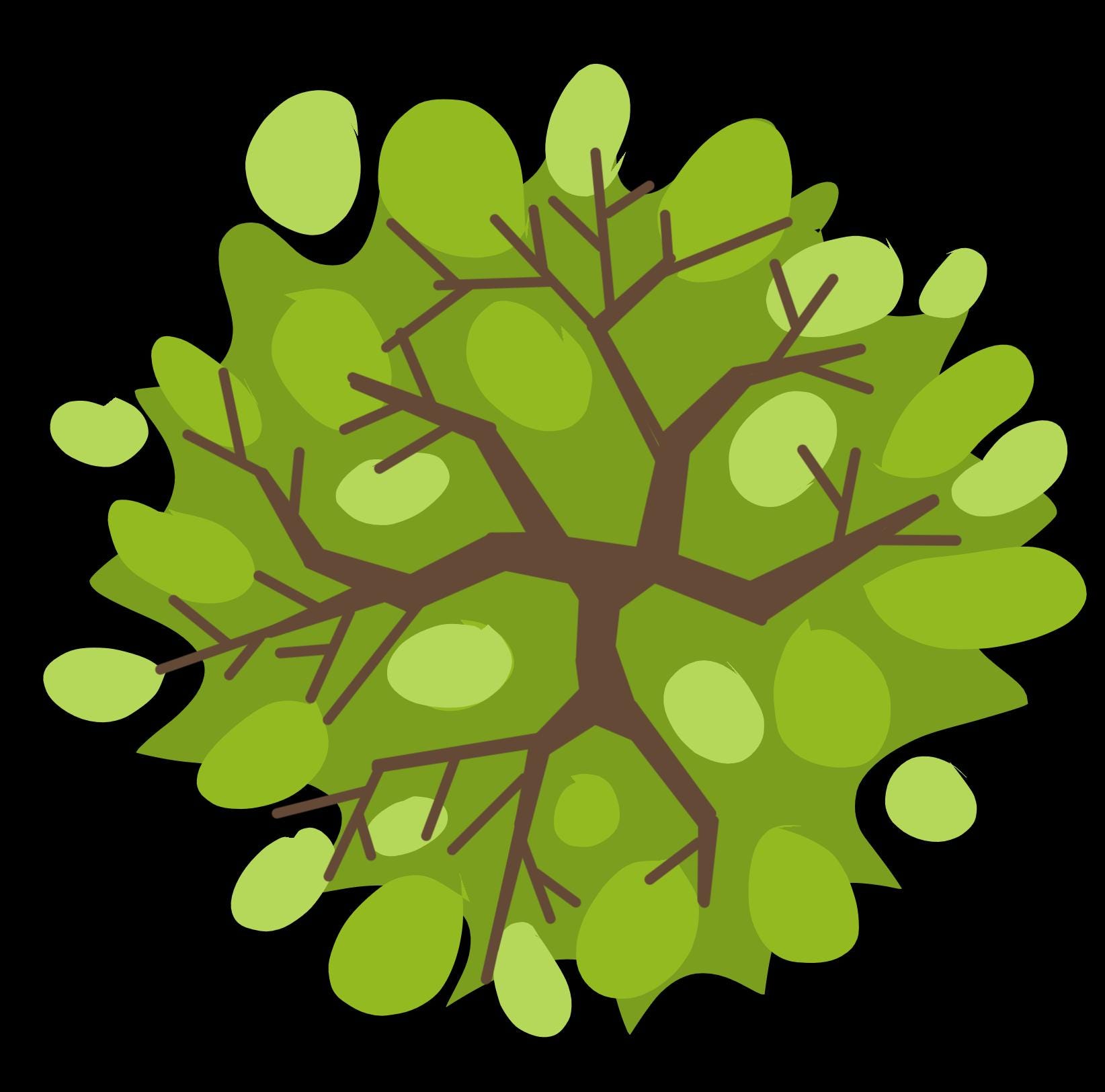 Tree Top View Symbols, Landscape Tree Plan and Grass Textures ...