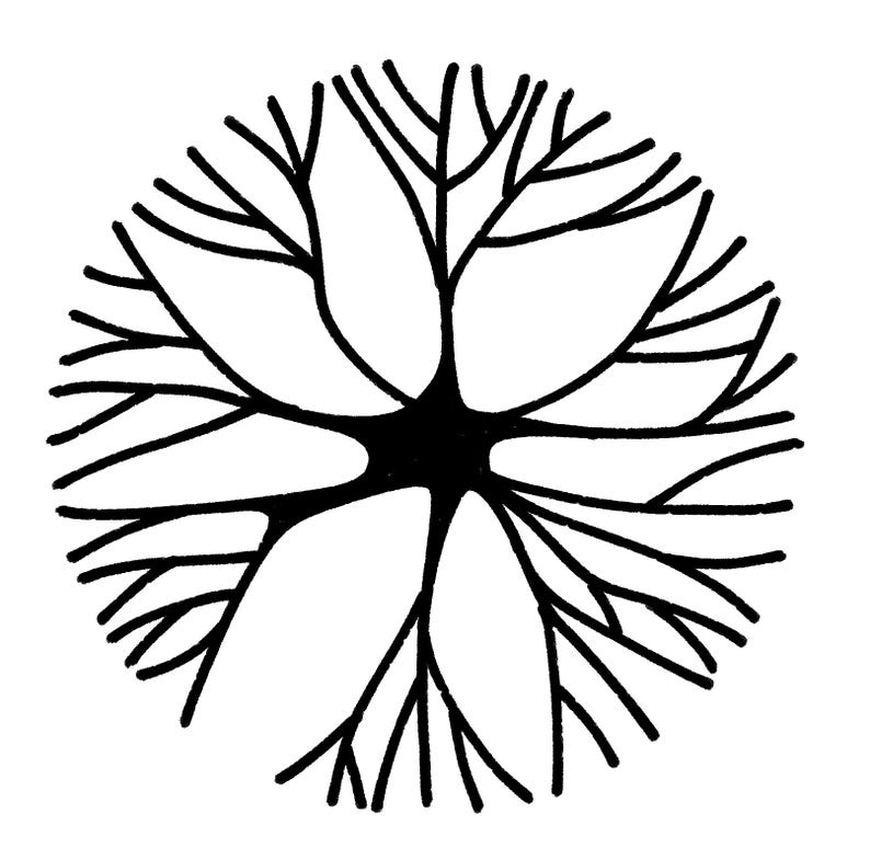 Tree Top View PNG, Tree Plan Symbol, Tree Plan View Images, Landscape ...