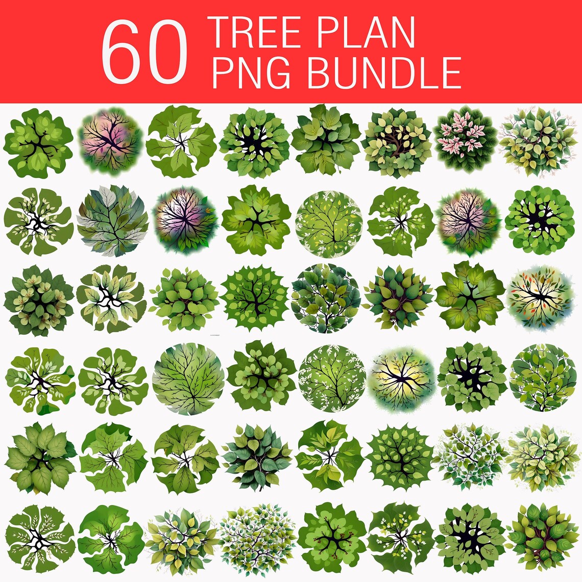 Tree Plan Bundle, Tree Stamps, Tree, Landscape Tree Symbols, Custom ...