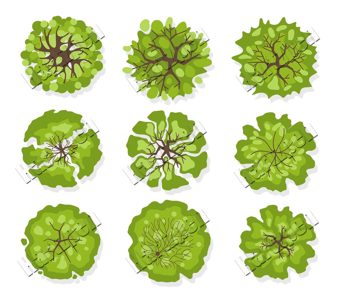 Landscape Tree Plan PNG Images, Landscape Tree Plan Symbol , Tree, Tree ...