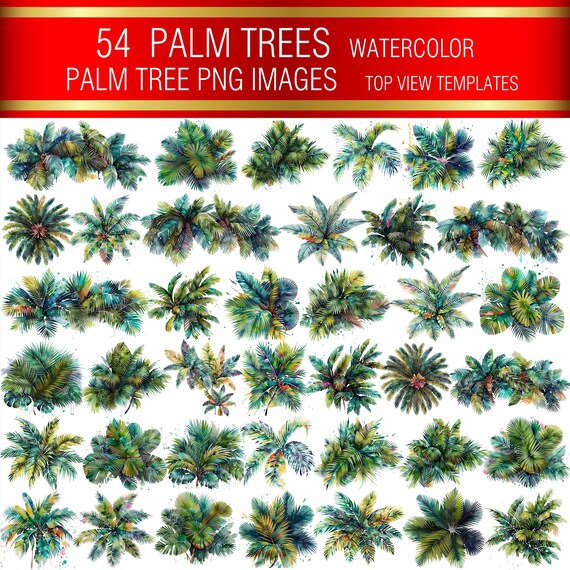 Palm Tree Top View Png Architecture Entourage And Templates: April