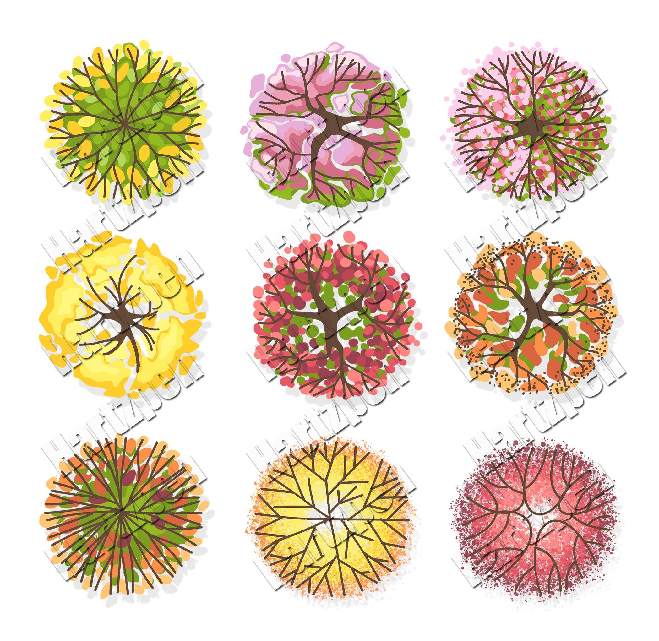 Tree Top View Symbols, Landscape Tree Plan and Grass Textures ...