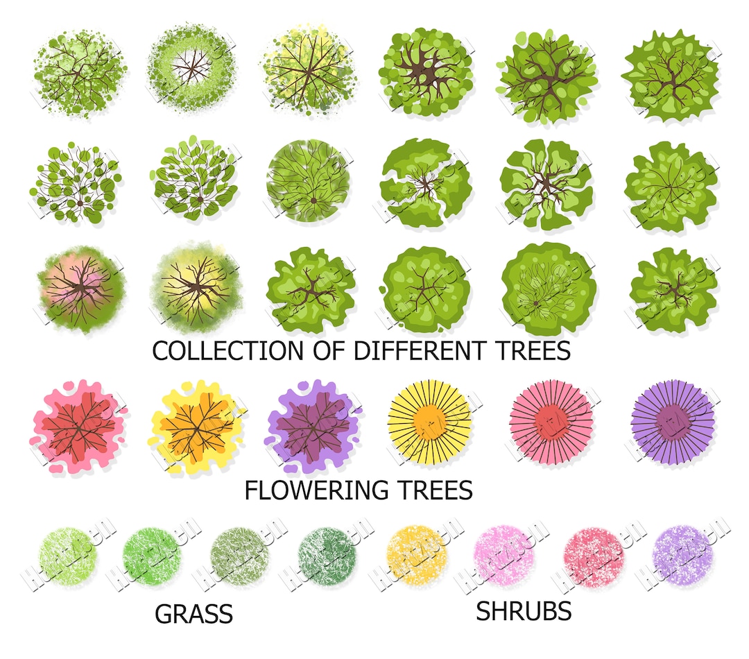 Landscape Tree Plan View PNG, Landscape Element, Treetop Templates ...