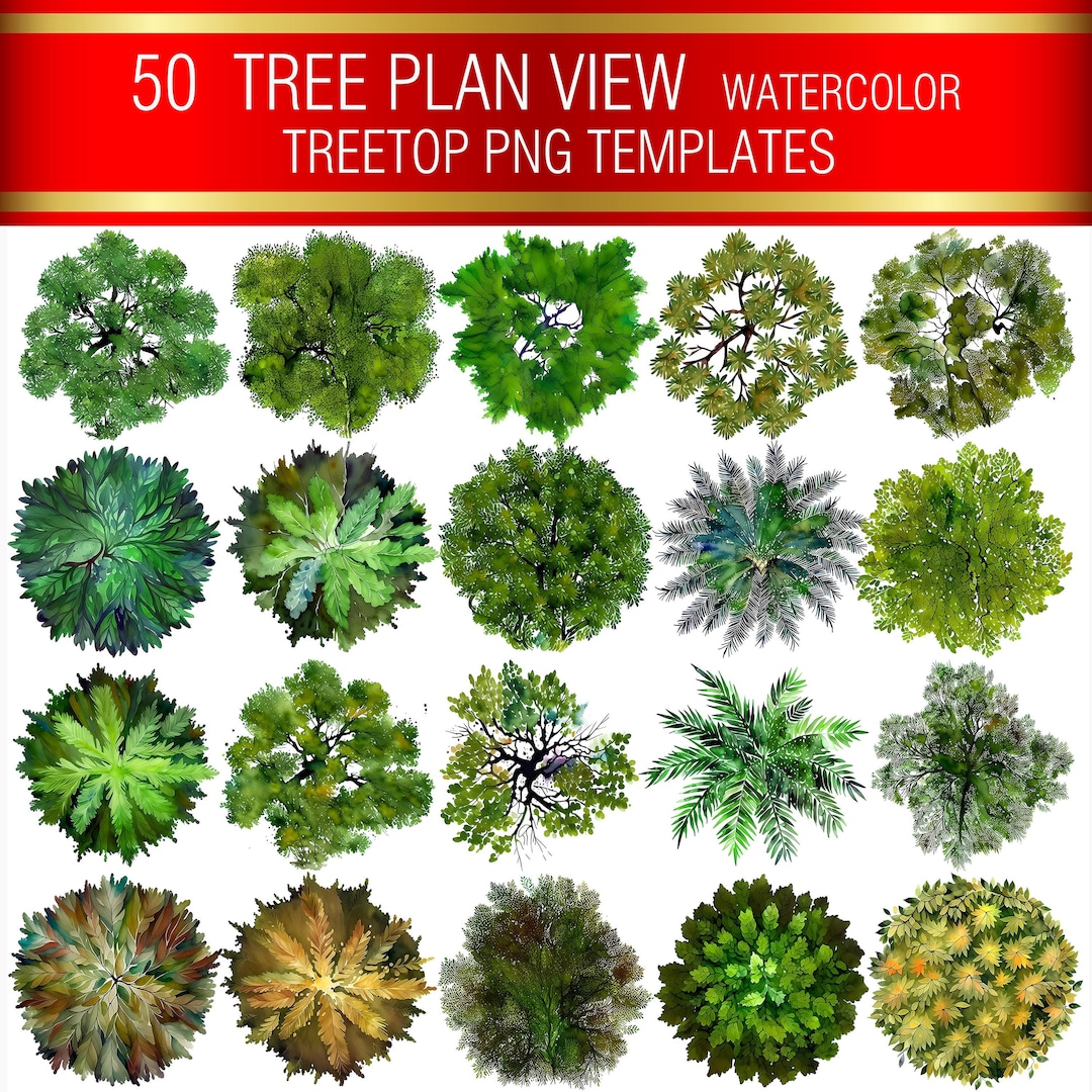 Tree Top View and Plan PNG Templates for Landscape Design | Digital ...