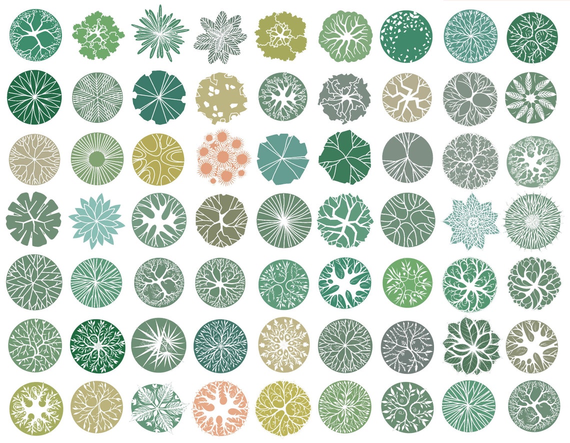 Tree Plan View PNG Pack, Landscape Tree Plan View PNG, Tree Stamps ...
