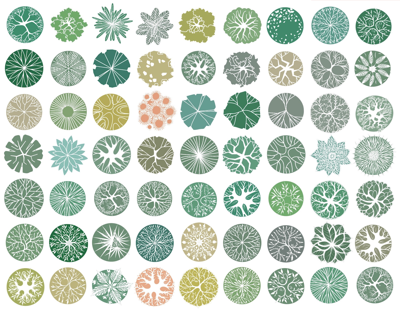 Tree Plan View PNG Pack, Landscape Tree Plan View PNG, Tree Stamps ...