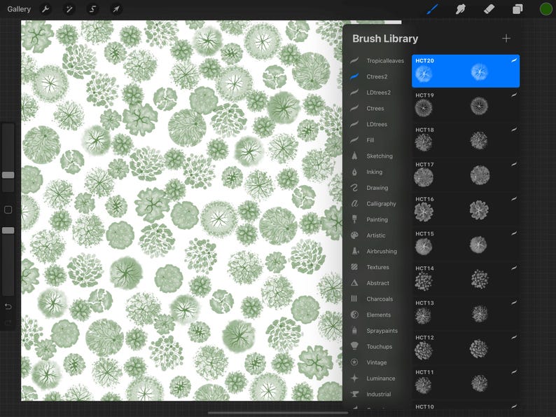 Procreate Landscape Tree Plan View, Landscape Design Elements, Tree Symbols, Tree Stamps ...