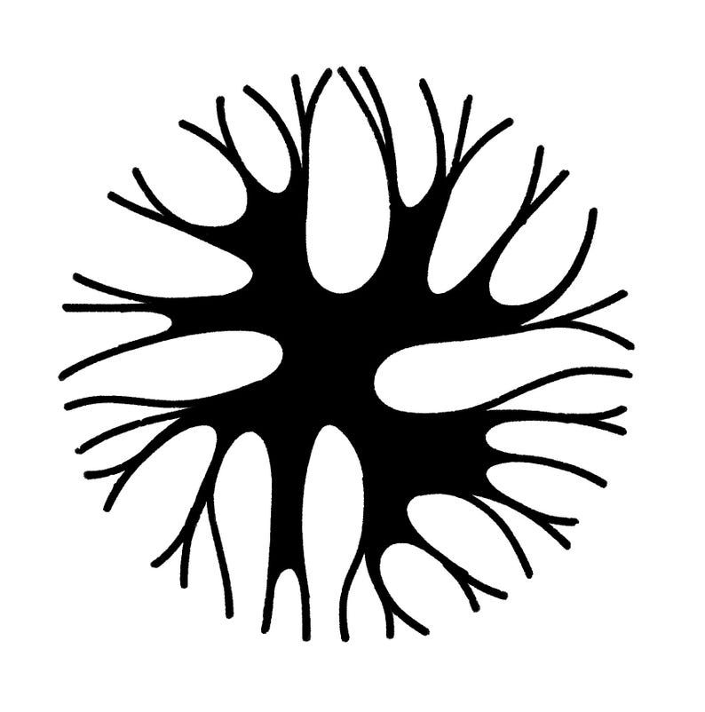 Buy Tree Top View PNG, Tree Plan Symbol, Tree Plan View Images ...