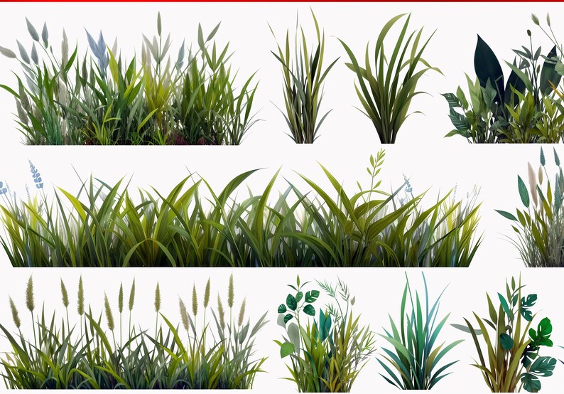 Grass Bundle, Grasses, Grass Stamps, Landscape Grass Symbols, Gardening ...