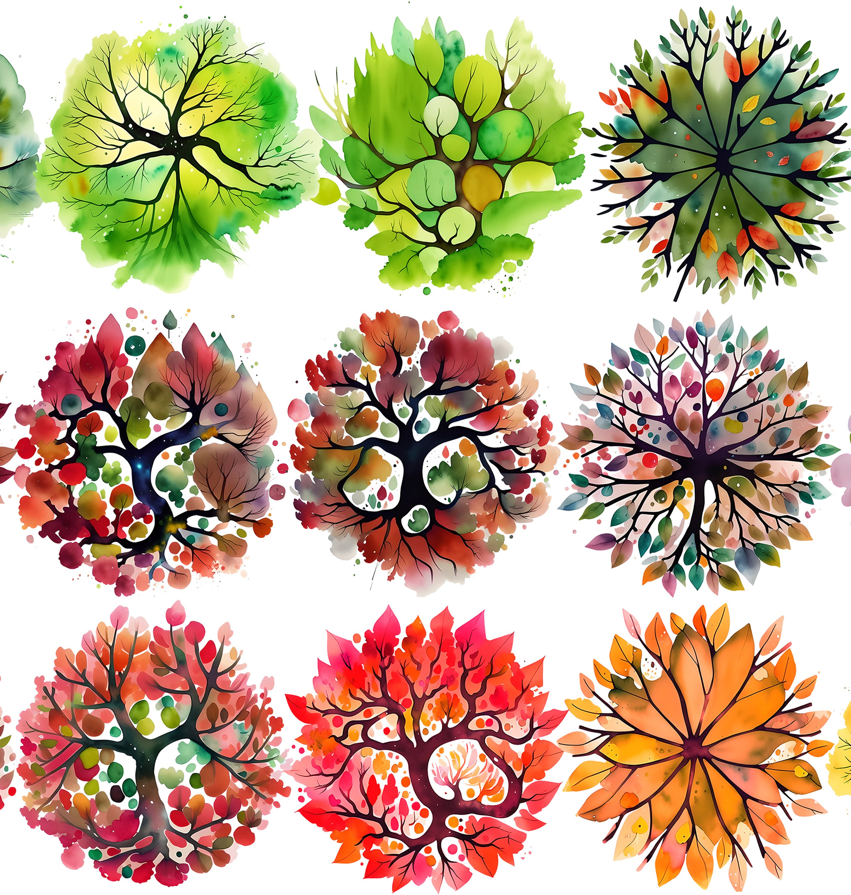 Treetop Symbol PNG Watercolor PNG Templates, Tree Plan Watercolor ...