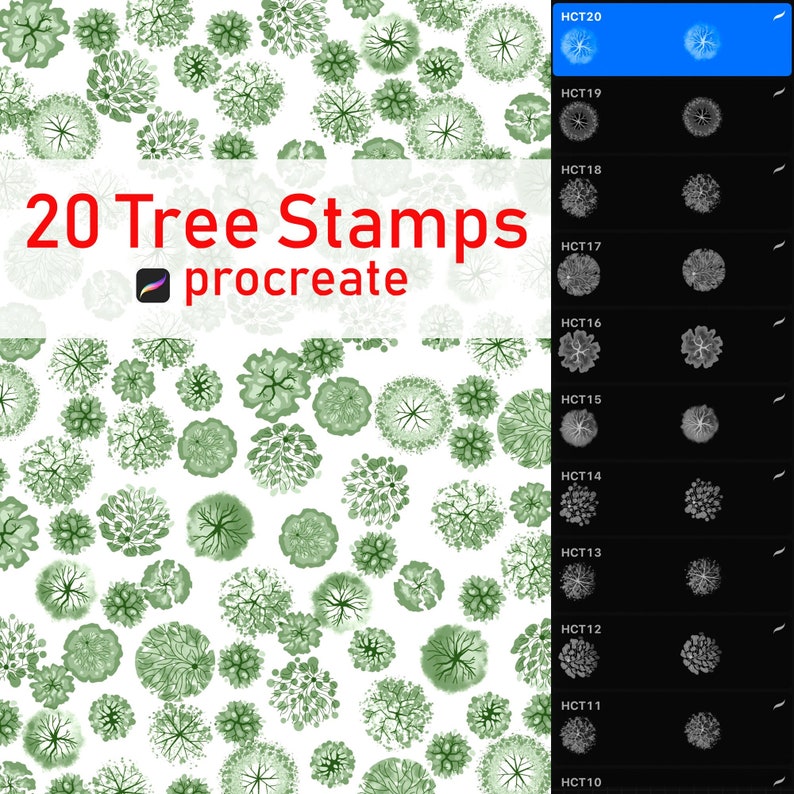 Procreate Landscape Tree Plan View, Landscape Design Elements, Tree Symbols, Tree Stamps ...