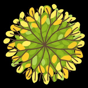 Tree Top View Symbols, Landscape Tree Plan and Grass Textures ...