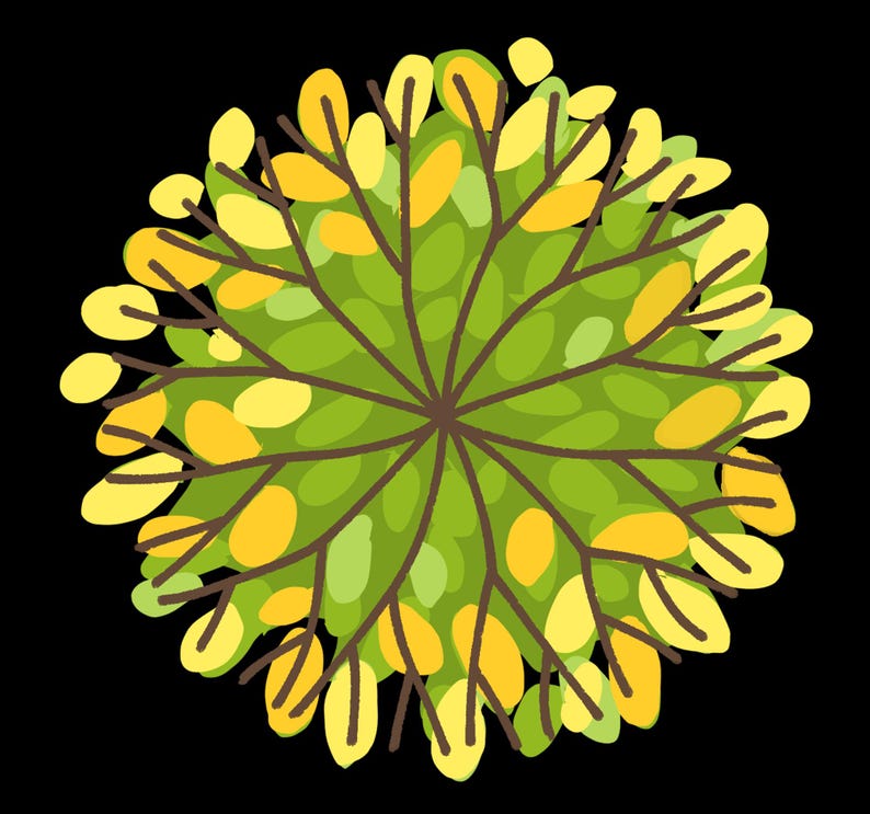 Landscape Design Tree Plan & Grass Textures PNG | Digital Stamps for ...